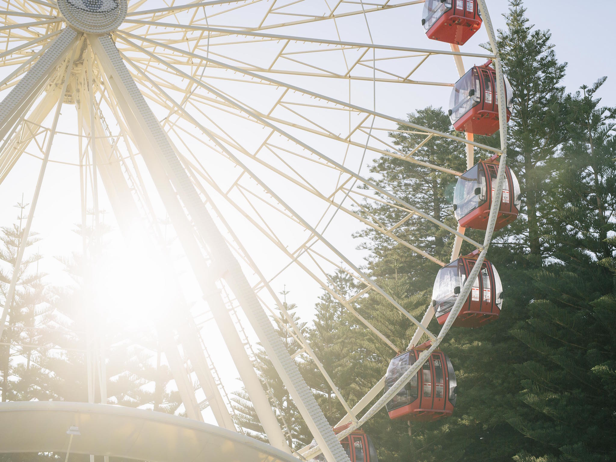 Little Creatures Fremantle Brewery Tour