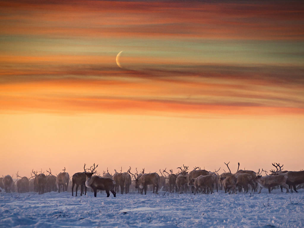 Five places to experience midnight sun - where to find nighttime ...