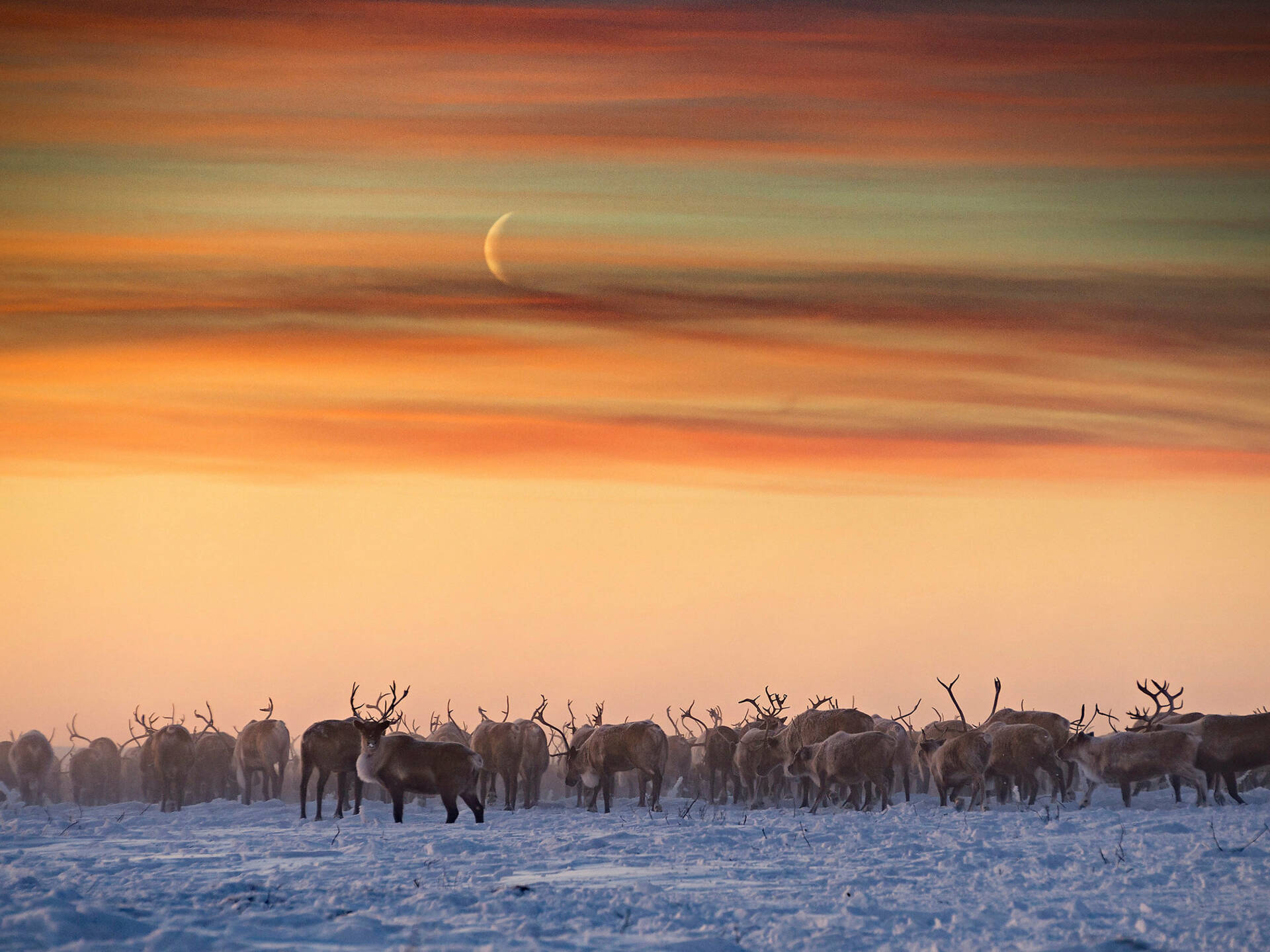 Five places to experience midnight sun - where to find nighttime ...