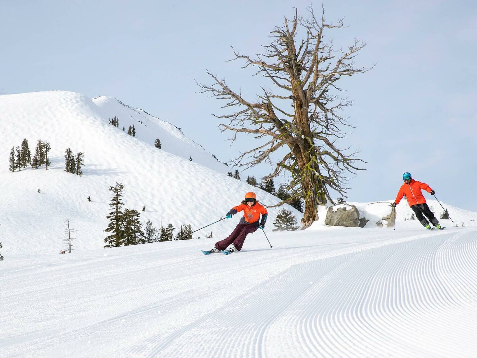 Best Ski Resorts Near Los Angeles for Skiing, Snowboarding & More