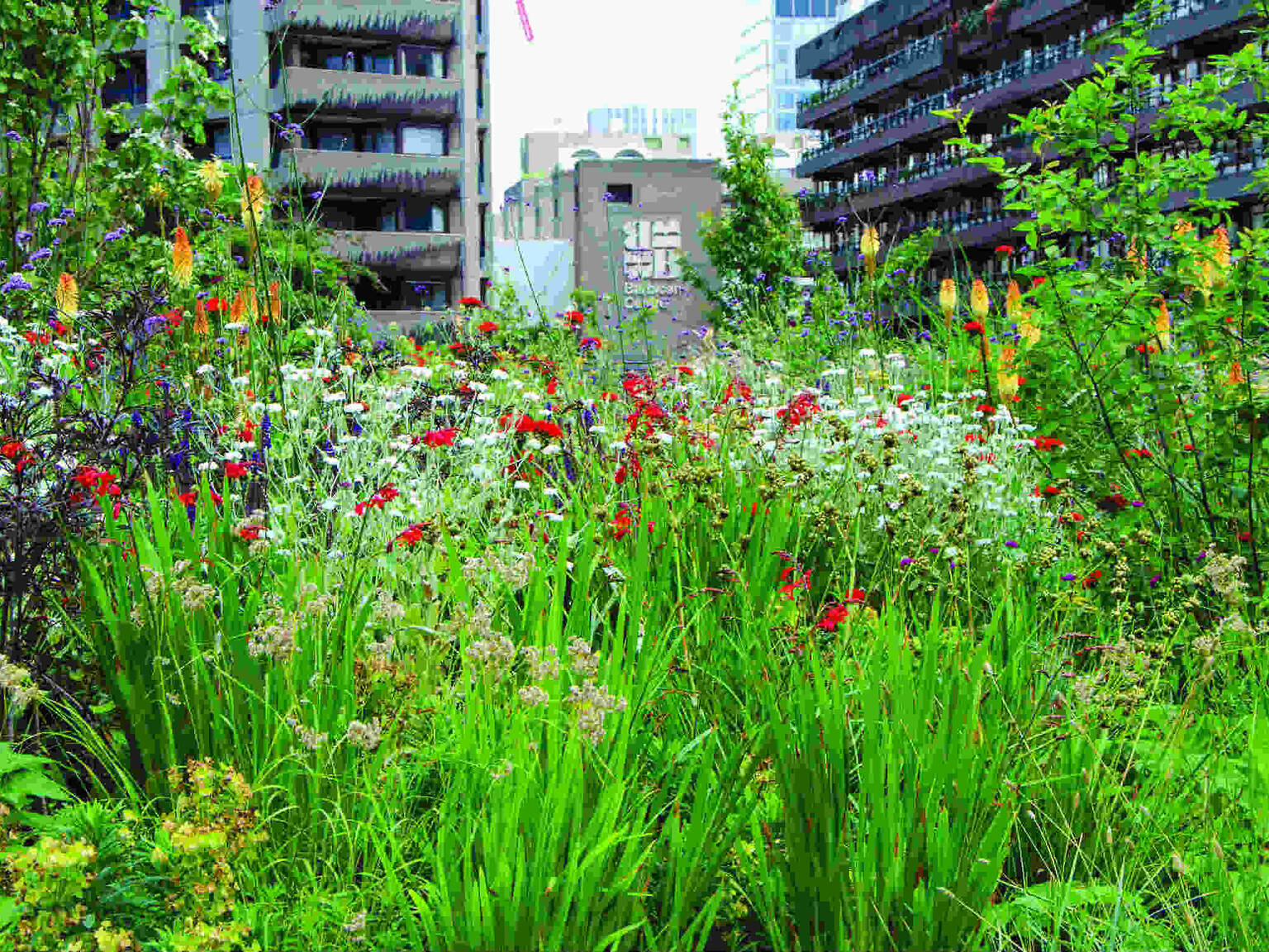 10 green spaces for urban gardeners in London