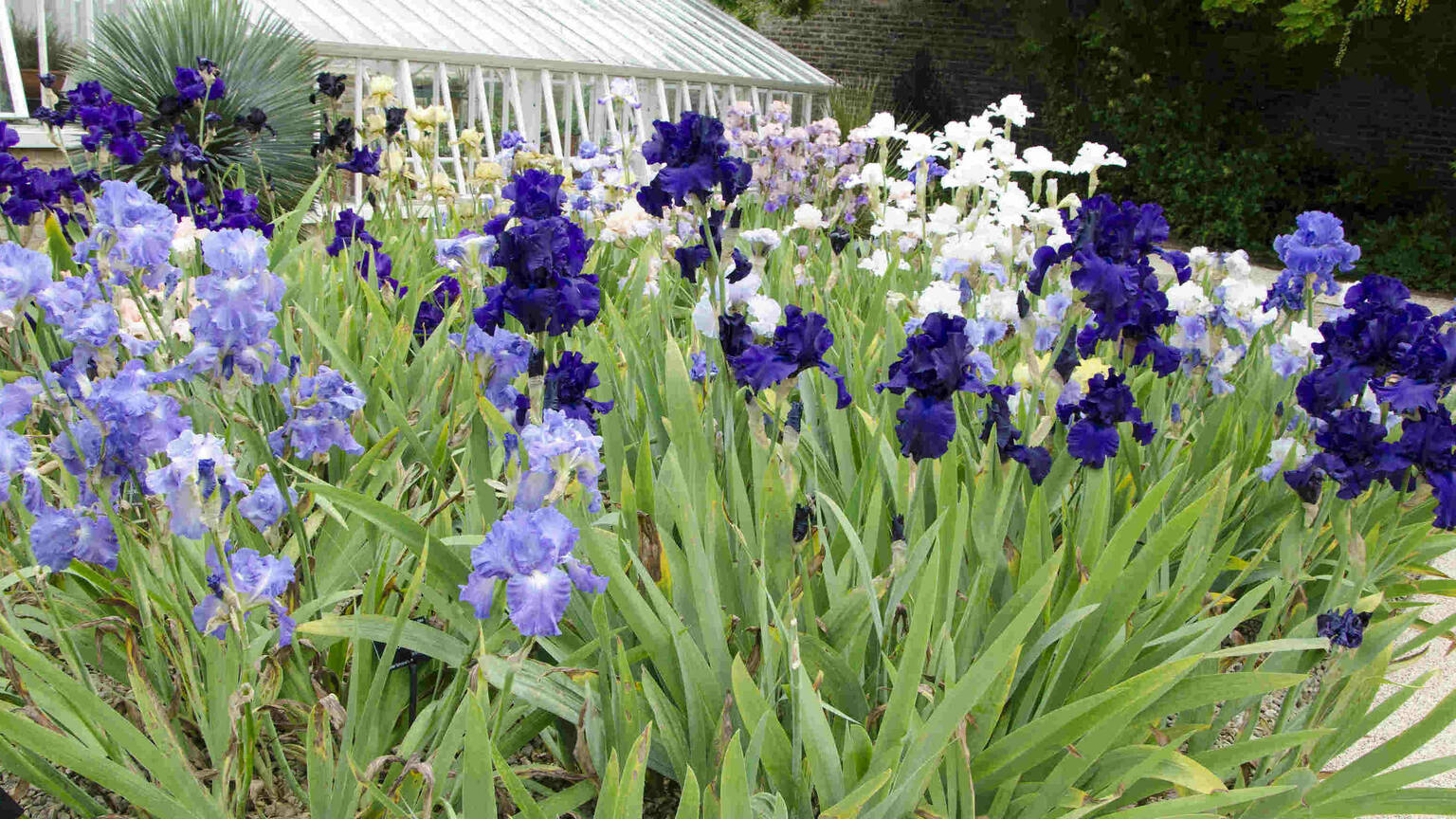 10 green spaces for urban gardeners in London