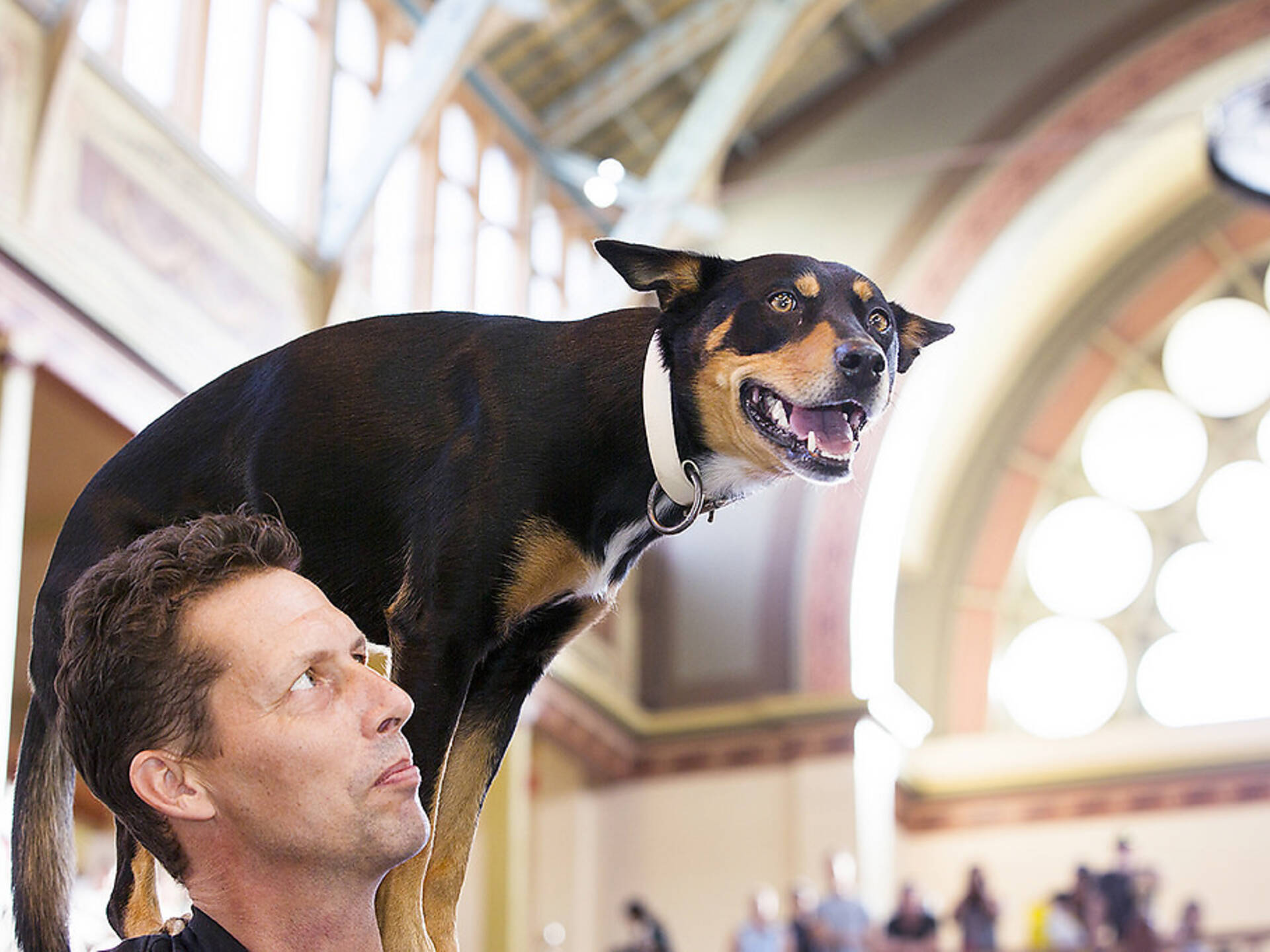 What's on Melbourne | Melbourne Events Calendar