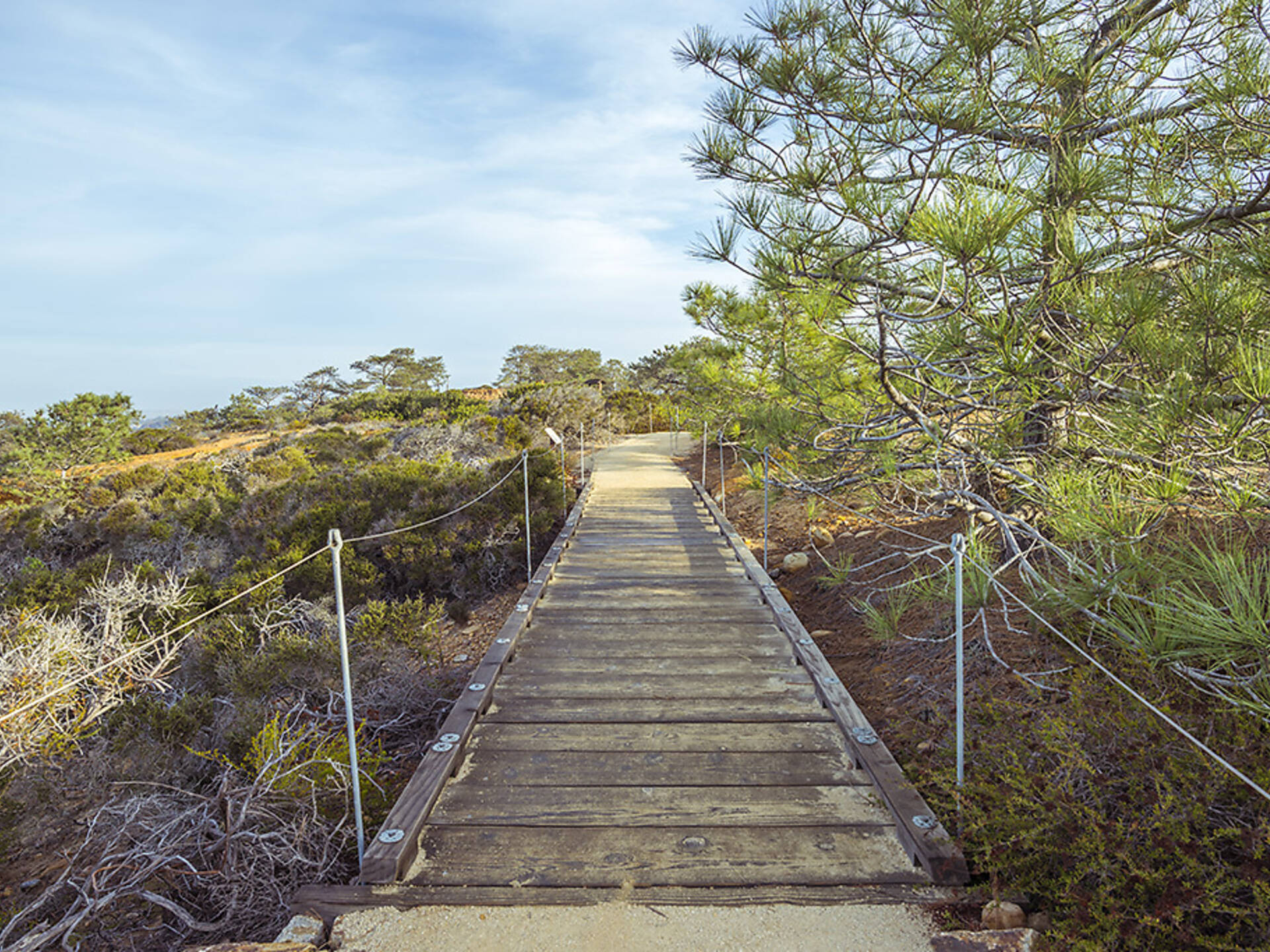Best running trails in America to get in shape and admire skylines