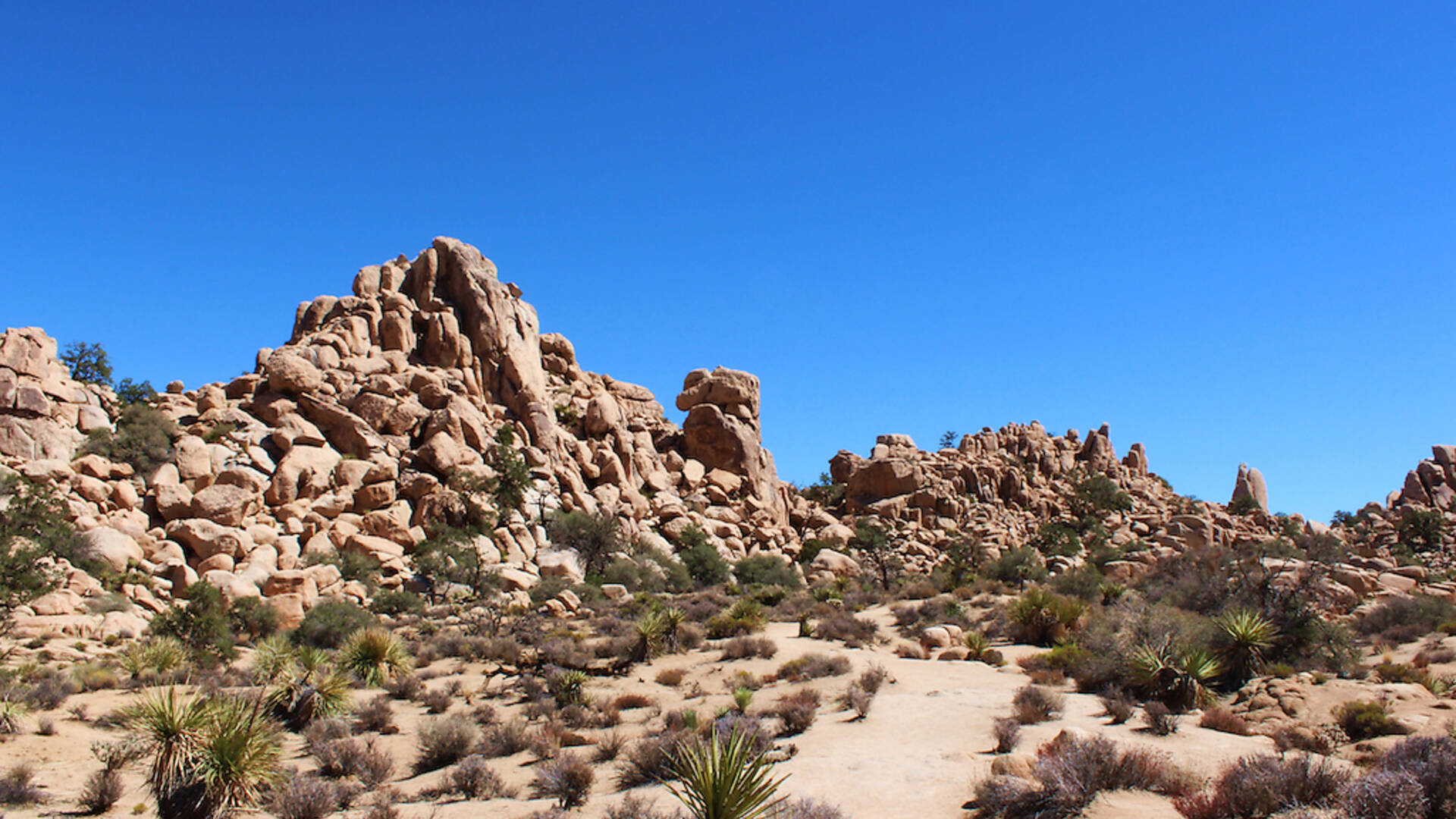 Best running trails in America to get in shape and admire skylines