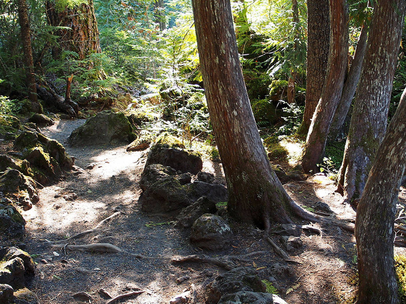 Best running trails in America to get in shape and admire skylines