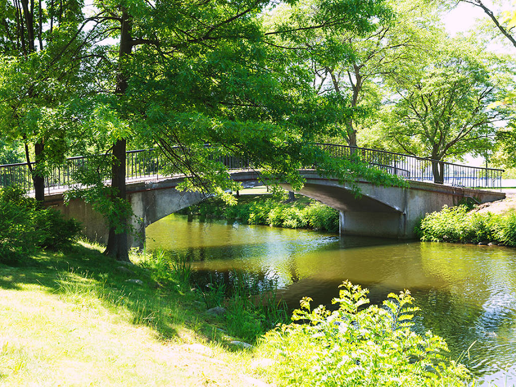 The Best Parks in Boston: 11 Green Spaces Perfect for Picnics