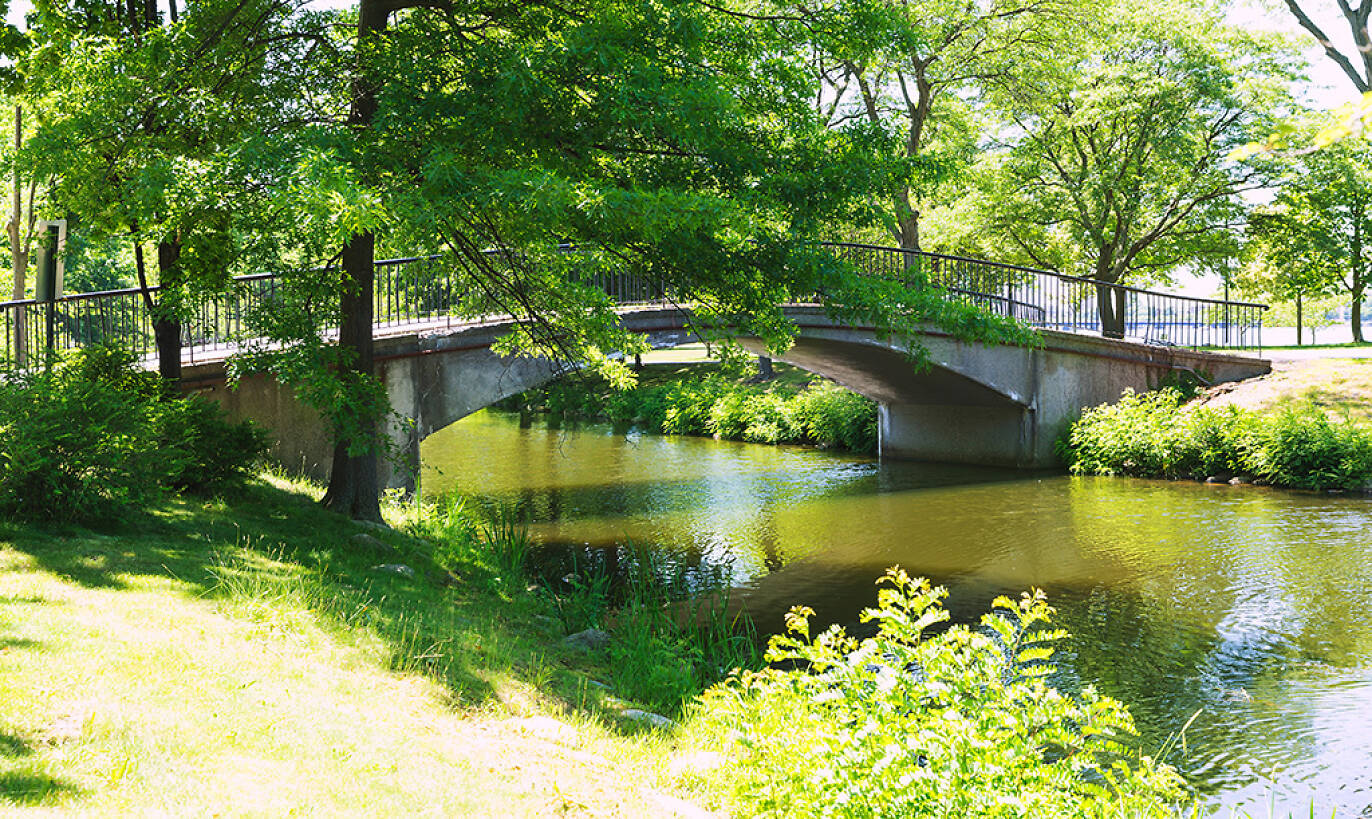 The Best Parks in Boston: 11 Green Spaces Perfect for Picnics
