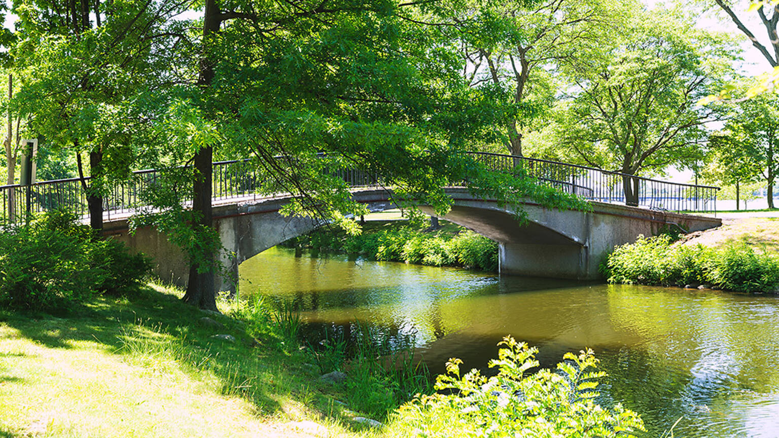 The Best Parks in Boston: 11 Green Spaces Perfect for Picnics