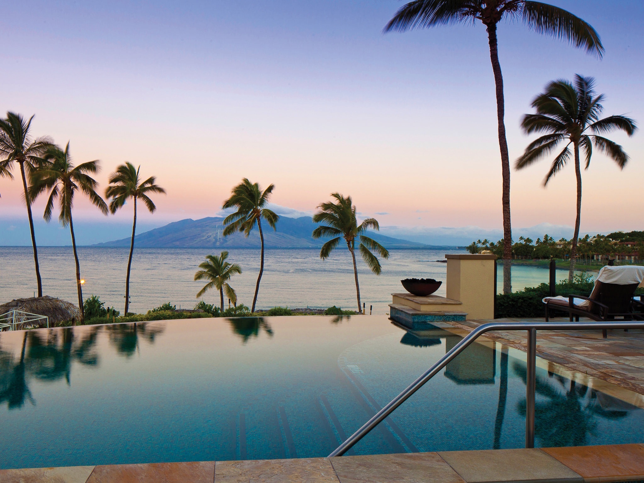 A whale watcher's guide to Maui