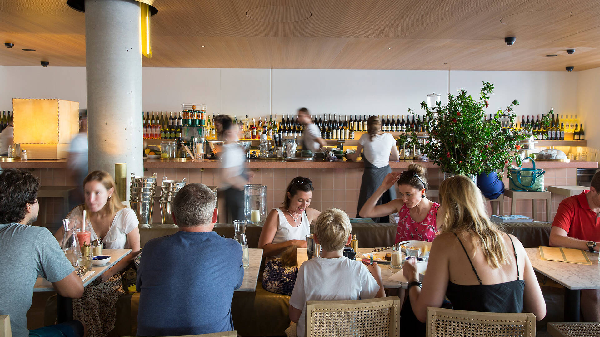 Bills, Bondi | Restaurants in Bondi Beach, Sydney