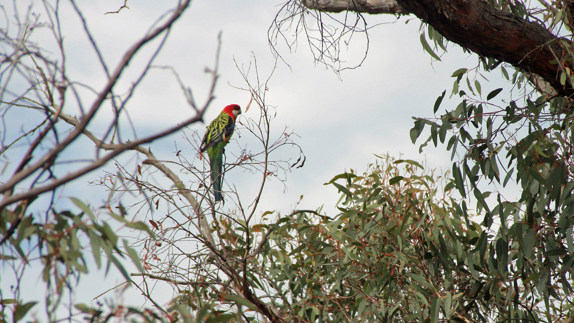 Sierra Escape | Travel in Sydney