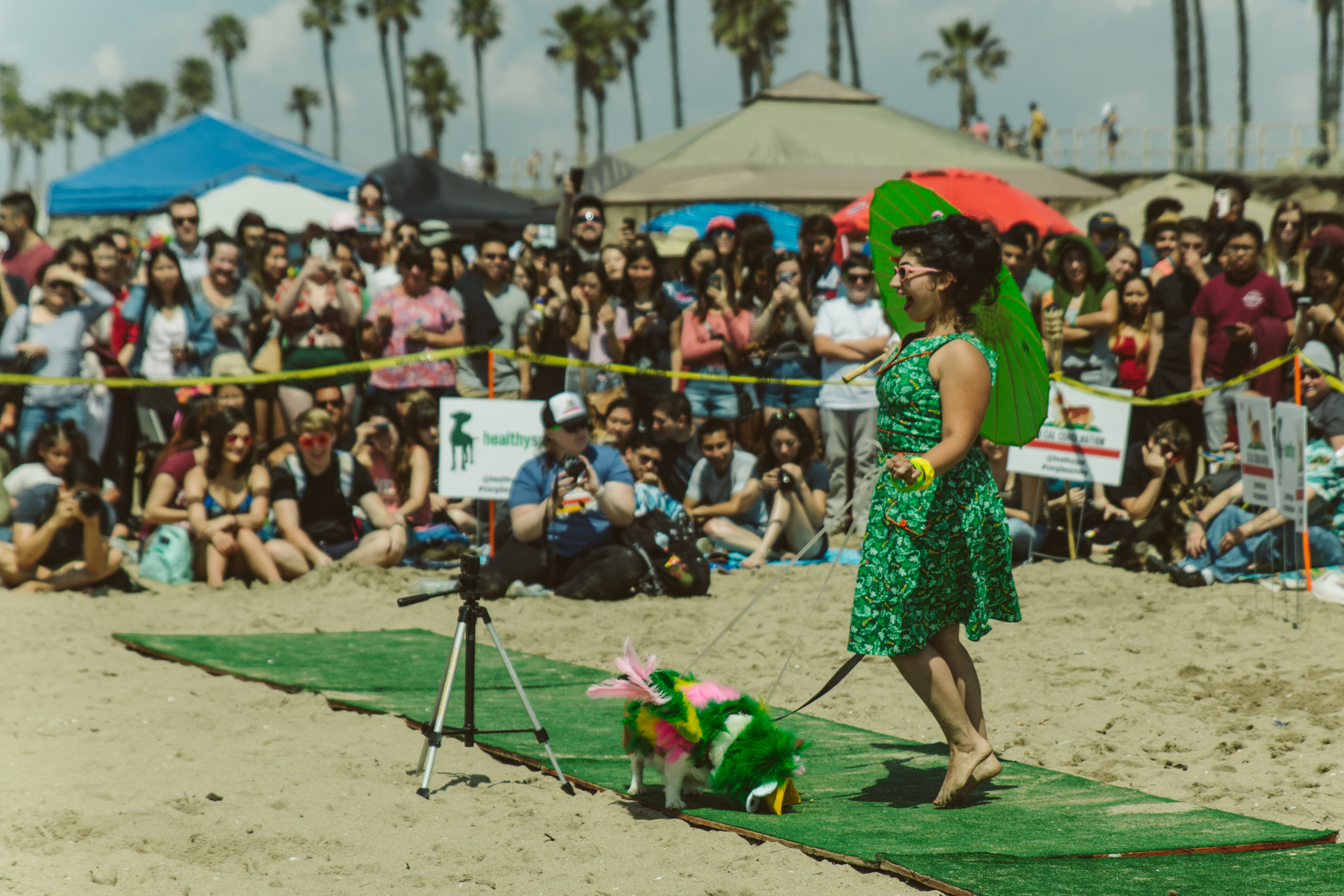 The dogs were out at Huntington Beach for So Cal Corgi Beach Day