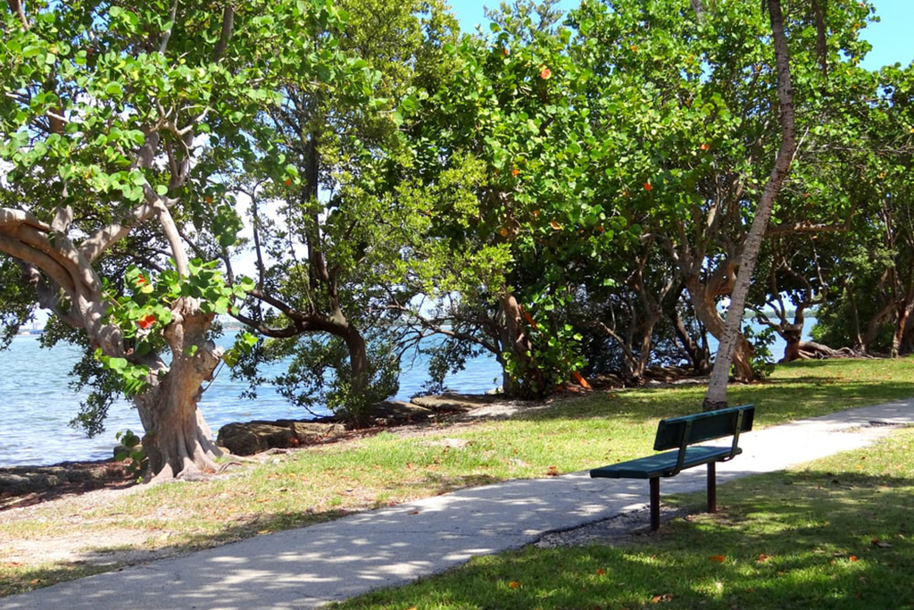 Morningside Park | Things to do in Buena Vista, Miami