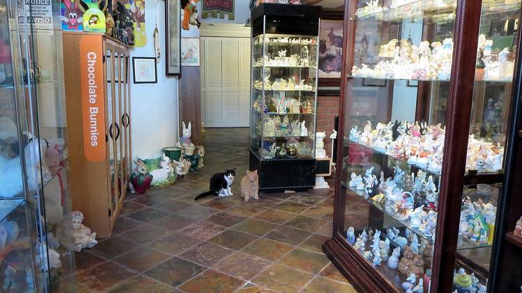 The Bunny Museum (slide show)