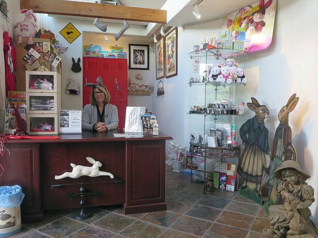 The Bunny Museum (slide show)