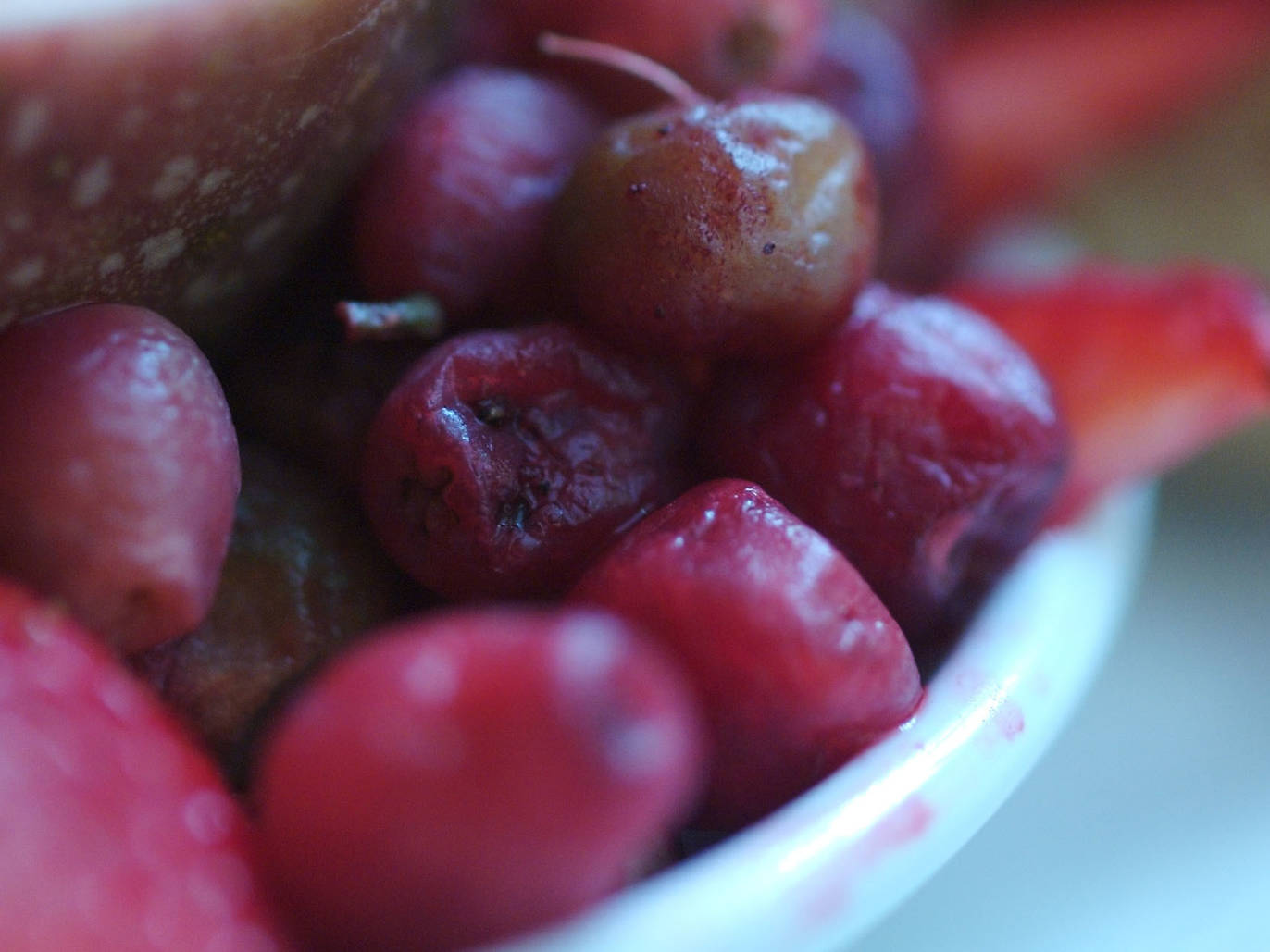 The rise of bushfood