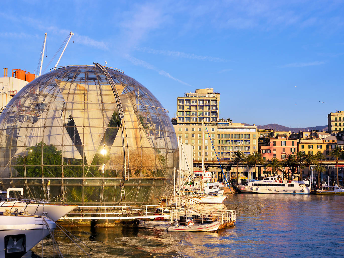 10 great things to do in Genoa - bars, restaurants, sights and the old ...