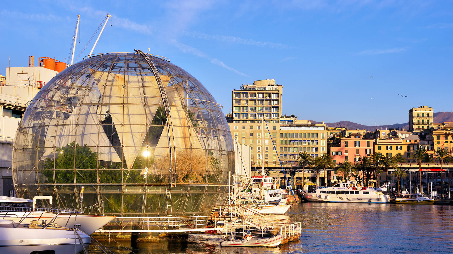 10 great things to do in Genoa - bars, restaurants, sights and the old ...