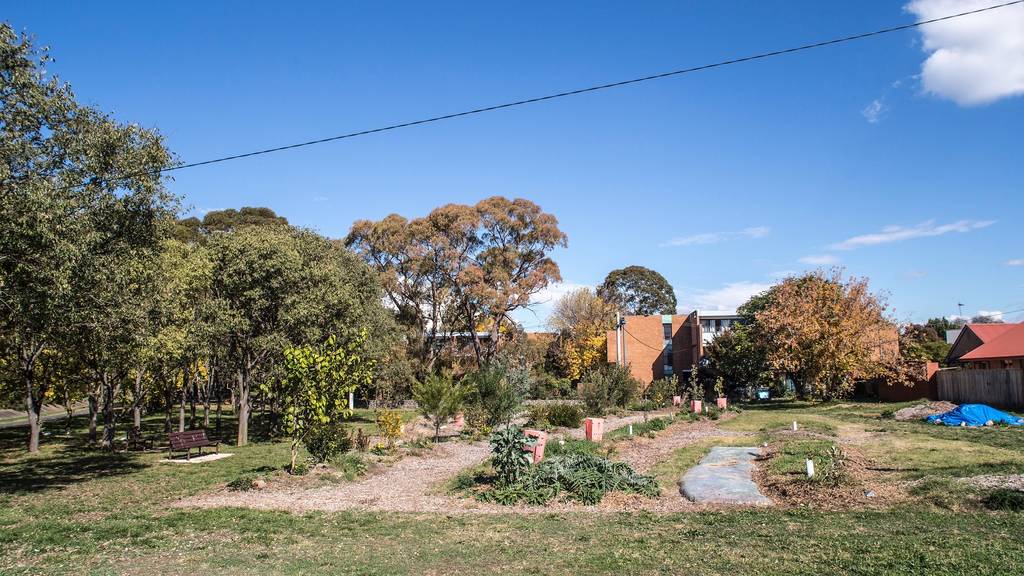 Lyneham Commons | Attractions in Sydney