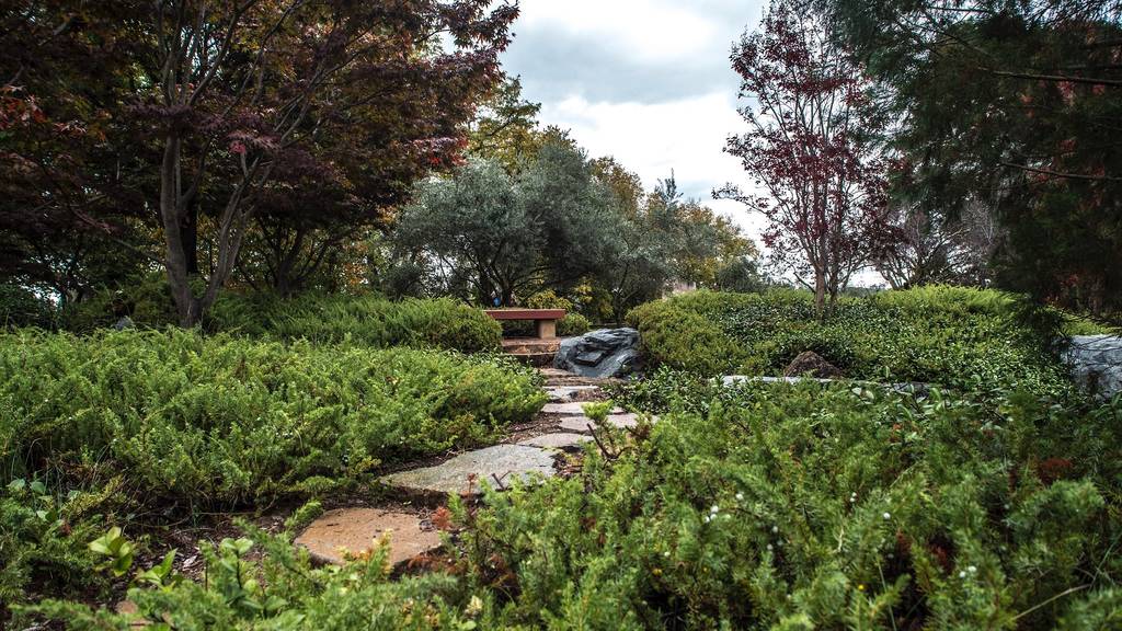 Canberra Nara Peace Park | Attractions in Australia