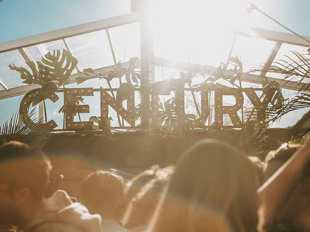 Palm Tree | Bars and pubs in Mile End, London