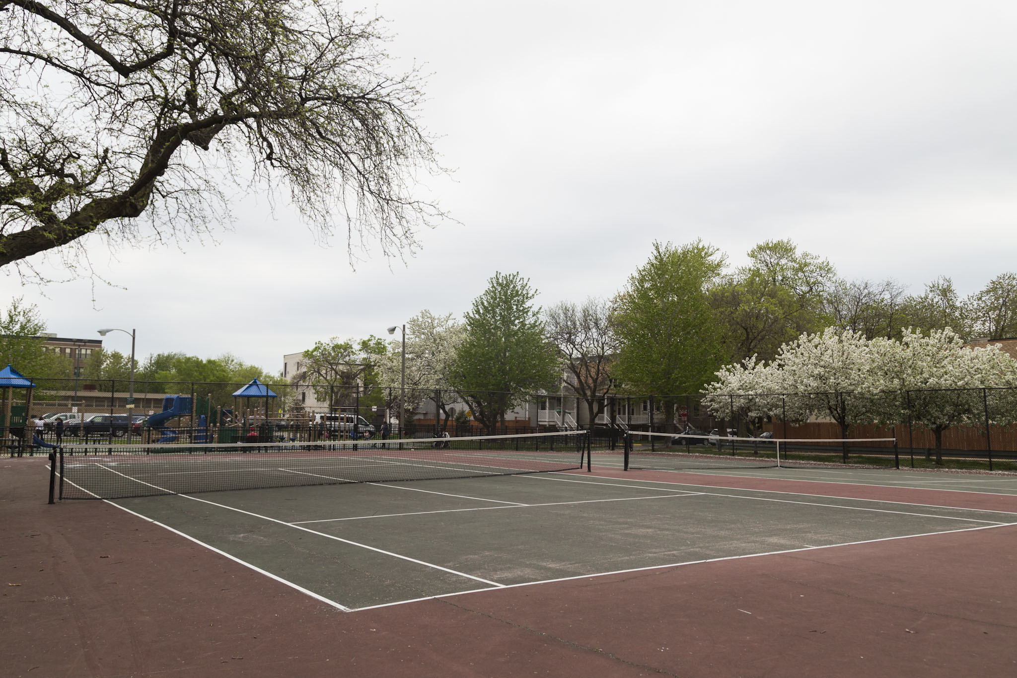 North Center attractions that you can't miss