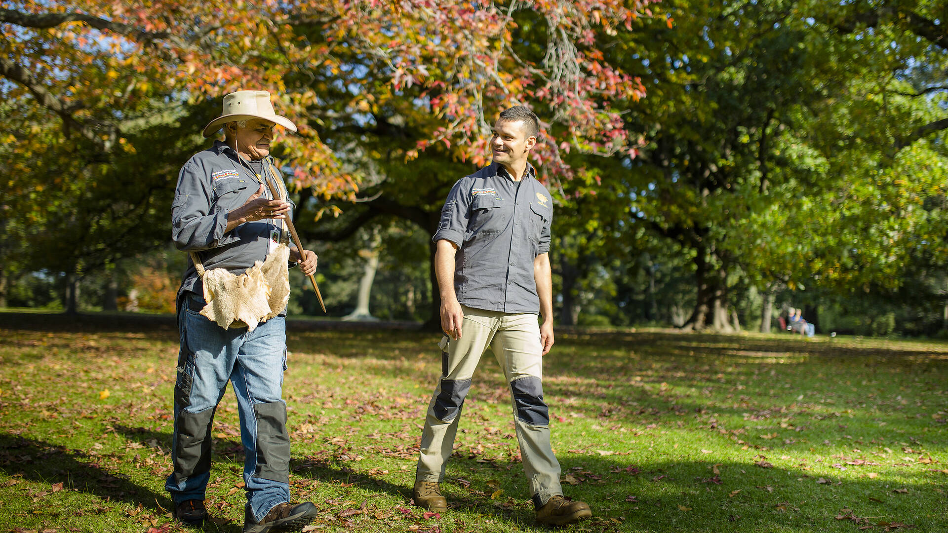 Indigenous walks and tours in Melbourne