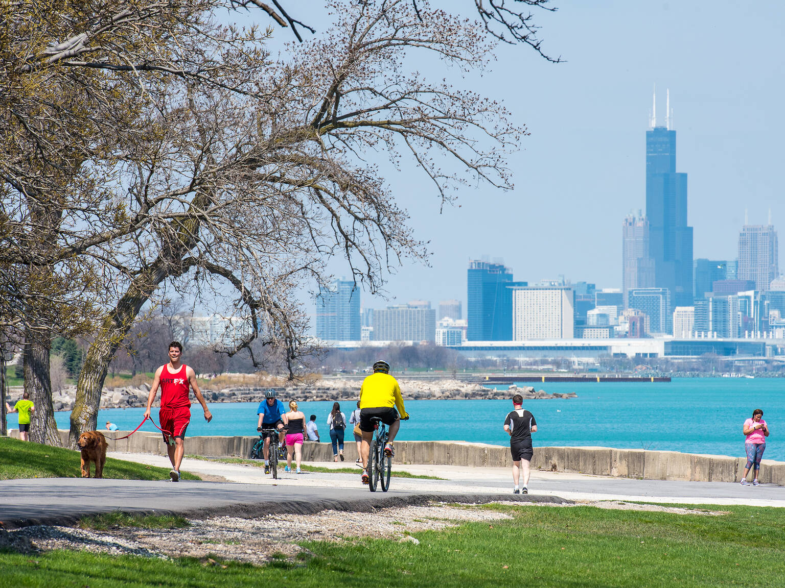 12 Trails for a Long Run in Chicago