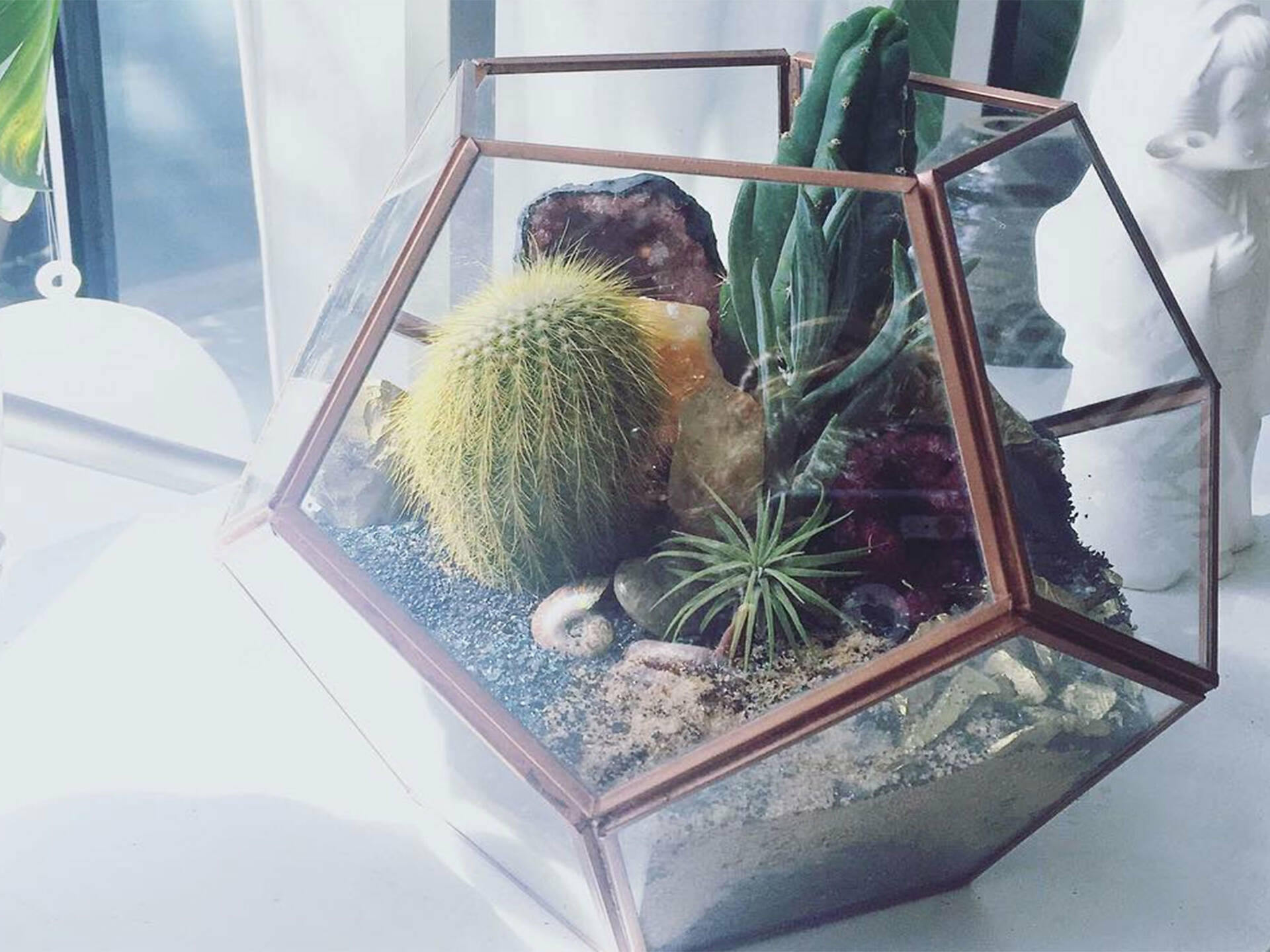 11 Best Flower Shops in Austin to Visit for Any Occasion