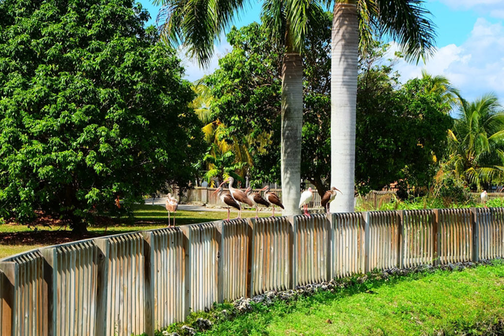 Fruit & Spice Park | Things to do in Redlands, Miami