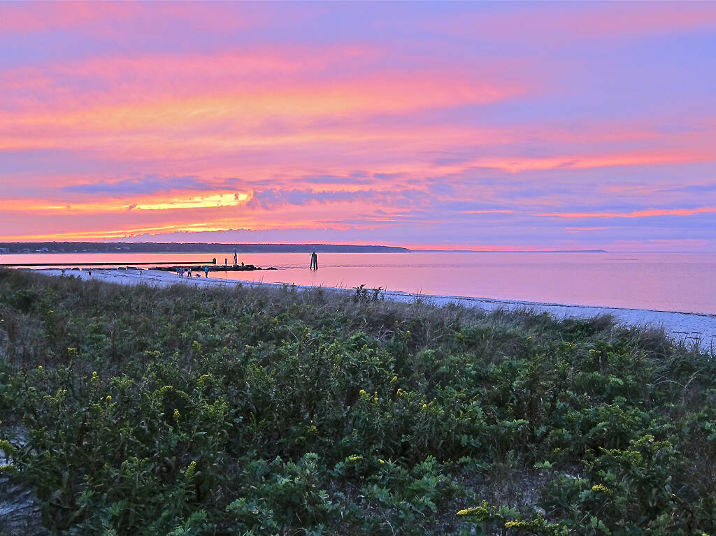 Best Things to Do in the Hamptons From Beaches to Wineries