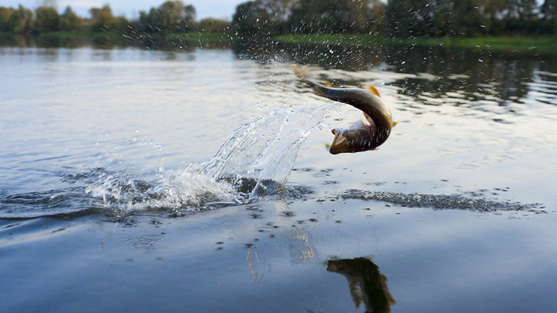 15 Best Fishing Spots in the US for All Types of Anglers