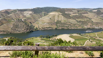 Eight awesome things to do in Douro - eat, drink and relax