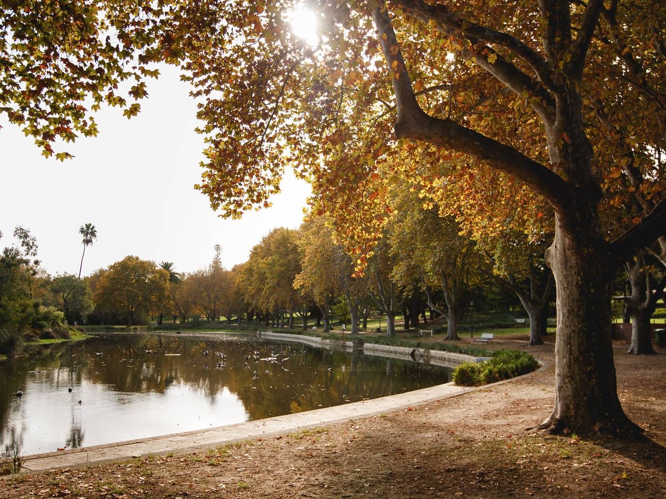 Best Perth attractions for locals and tourists