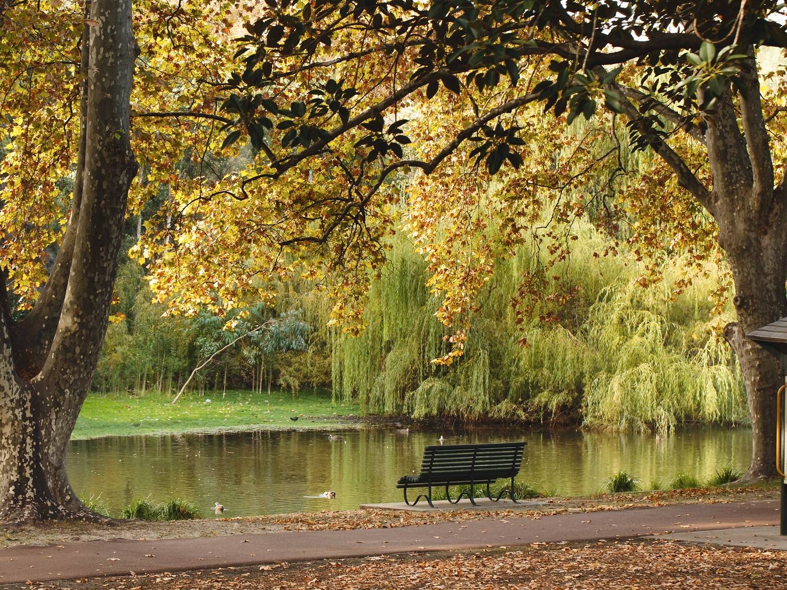 Best Perth attractions for locals and tourists