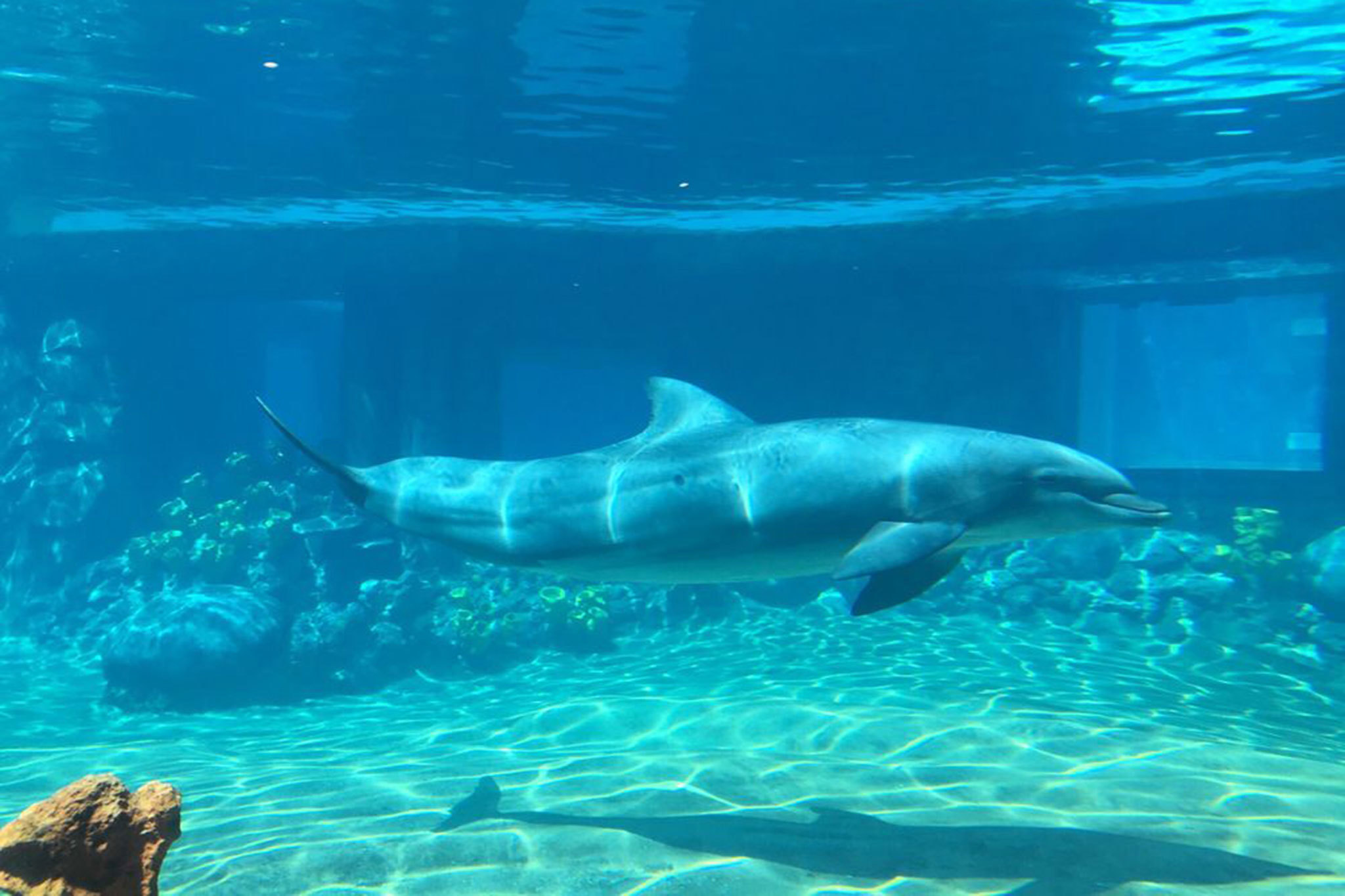 Aquatica | Attractions in Austin