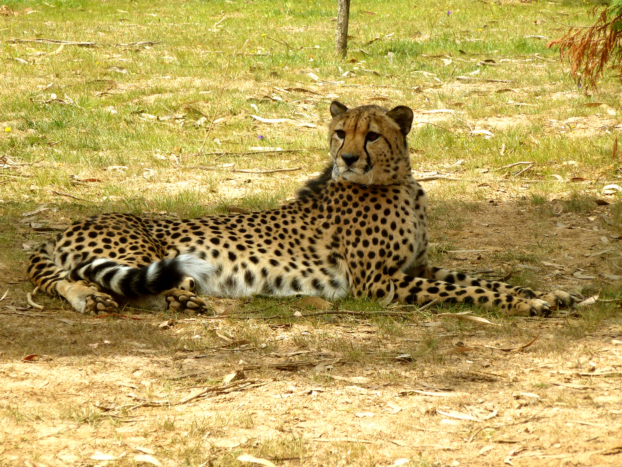 Best things to do with kids in Porto – For families with children