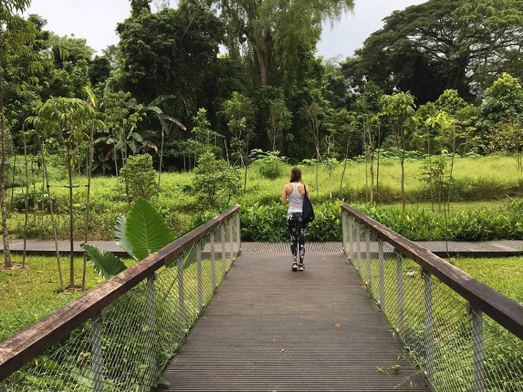 Hiking in Singapore: 18 Amazing Walking Trails For Trekkers To Try