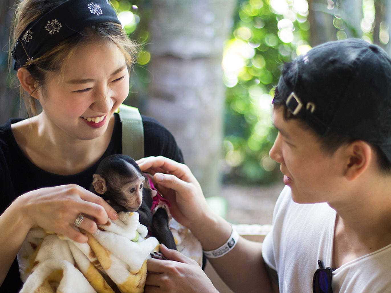 29 Things to Do in Miami With Kids for Family Adventures Year-Round