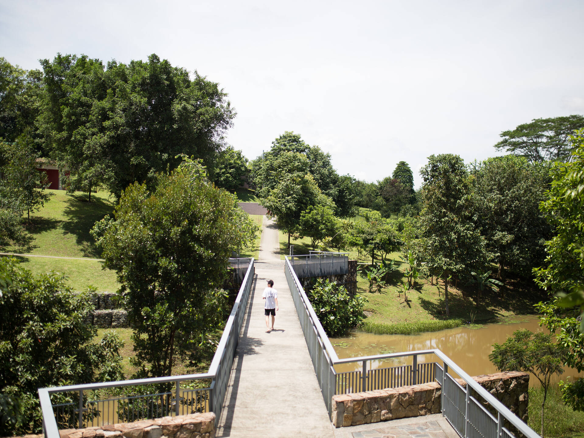 The best parks in KL to escape from the city