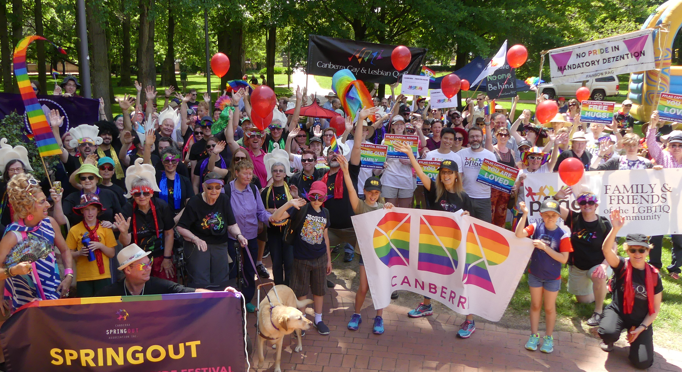 Spring Out | Travel in Sydney