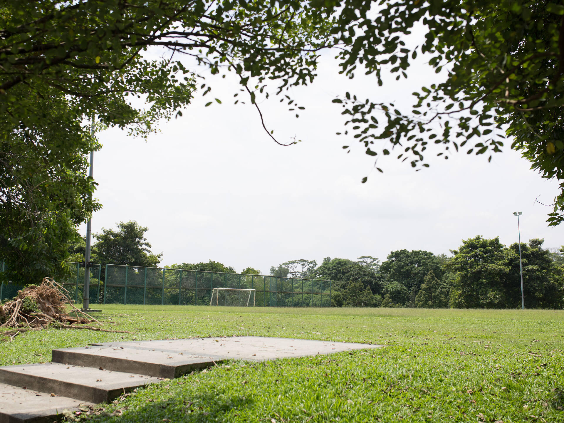 Best running trails in KL