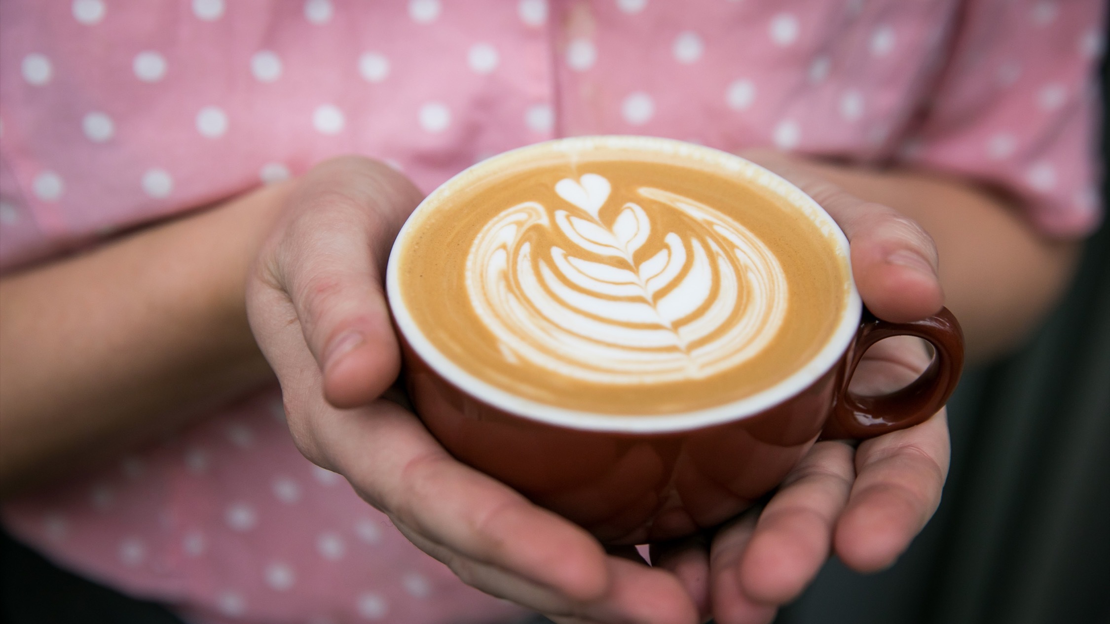 Mentmore and Morley | Restaurants in Rosebery, Sydney