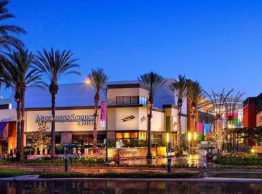 12 Best Things to do in Anaheim After You’ve Visited Disneyland
