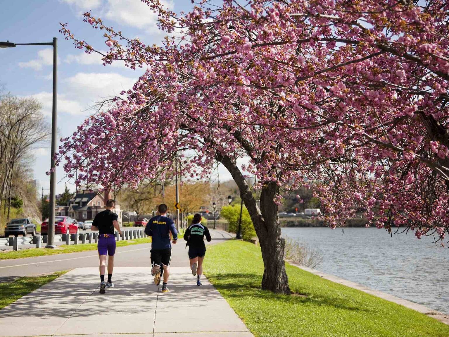 16 Best Philadelphia Parks for Hiking and People Watching