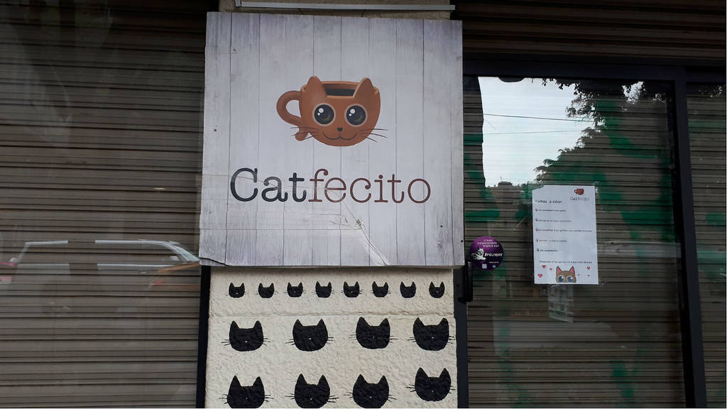 Catfecito