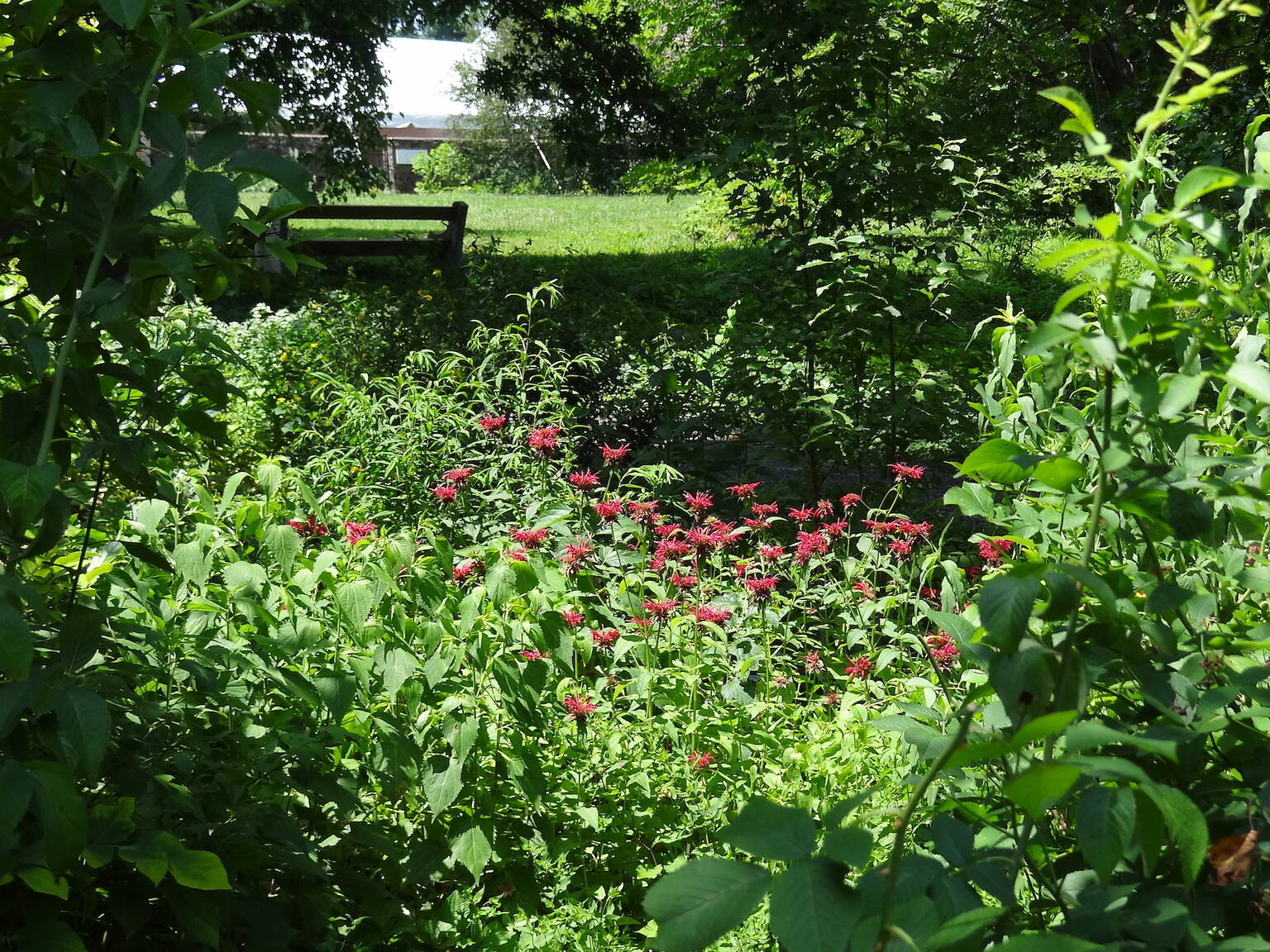 16 Best Philadelphia Parks for Hiking and People Watching