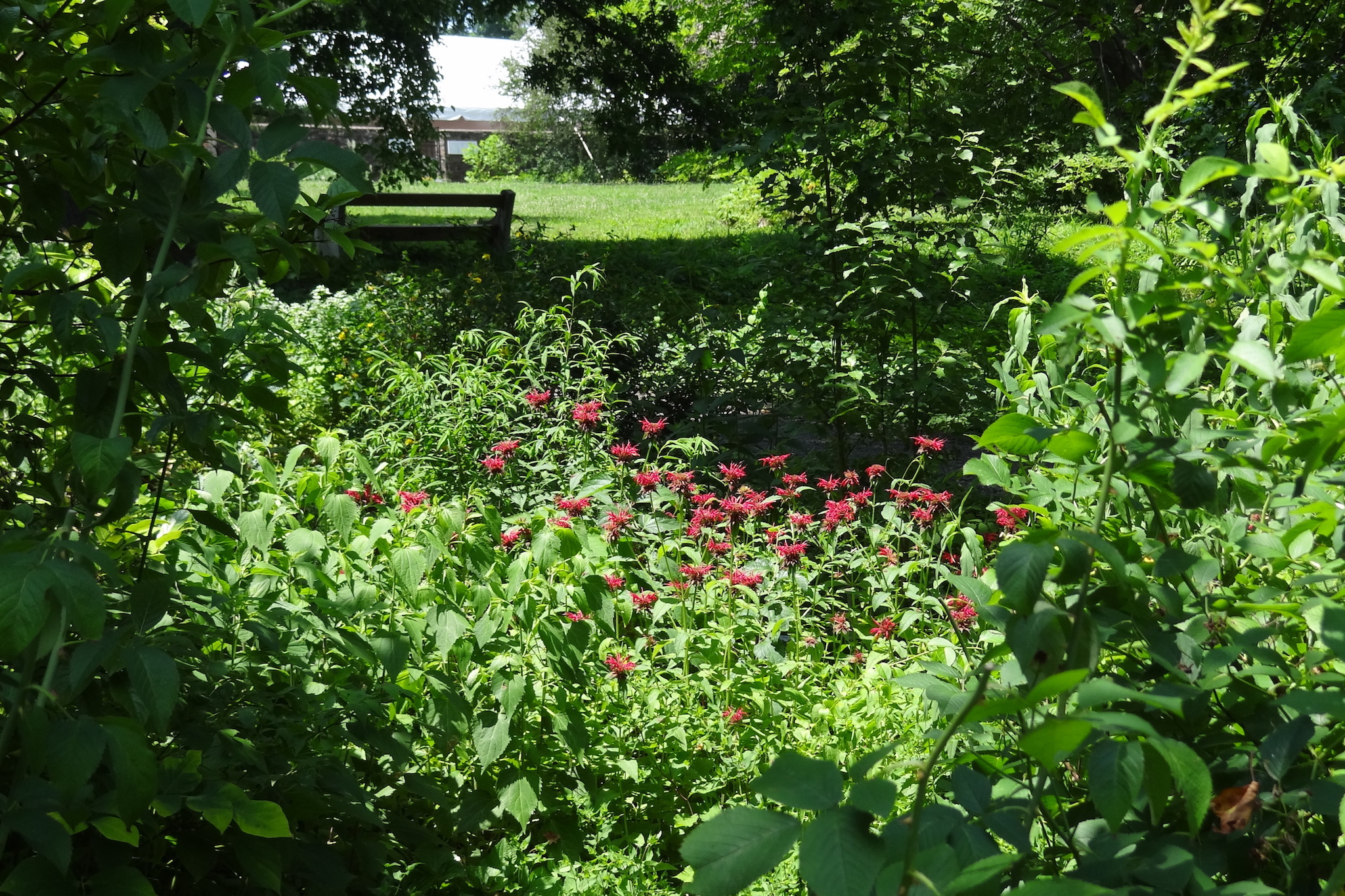 Philadelphia Botanical Garden | Fasci Garden