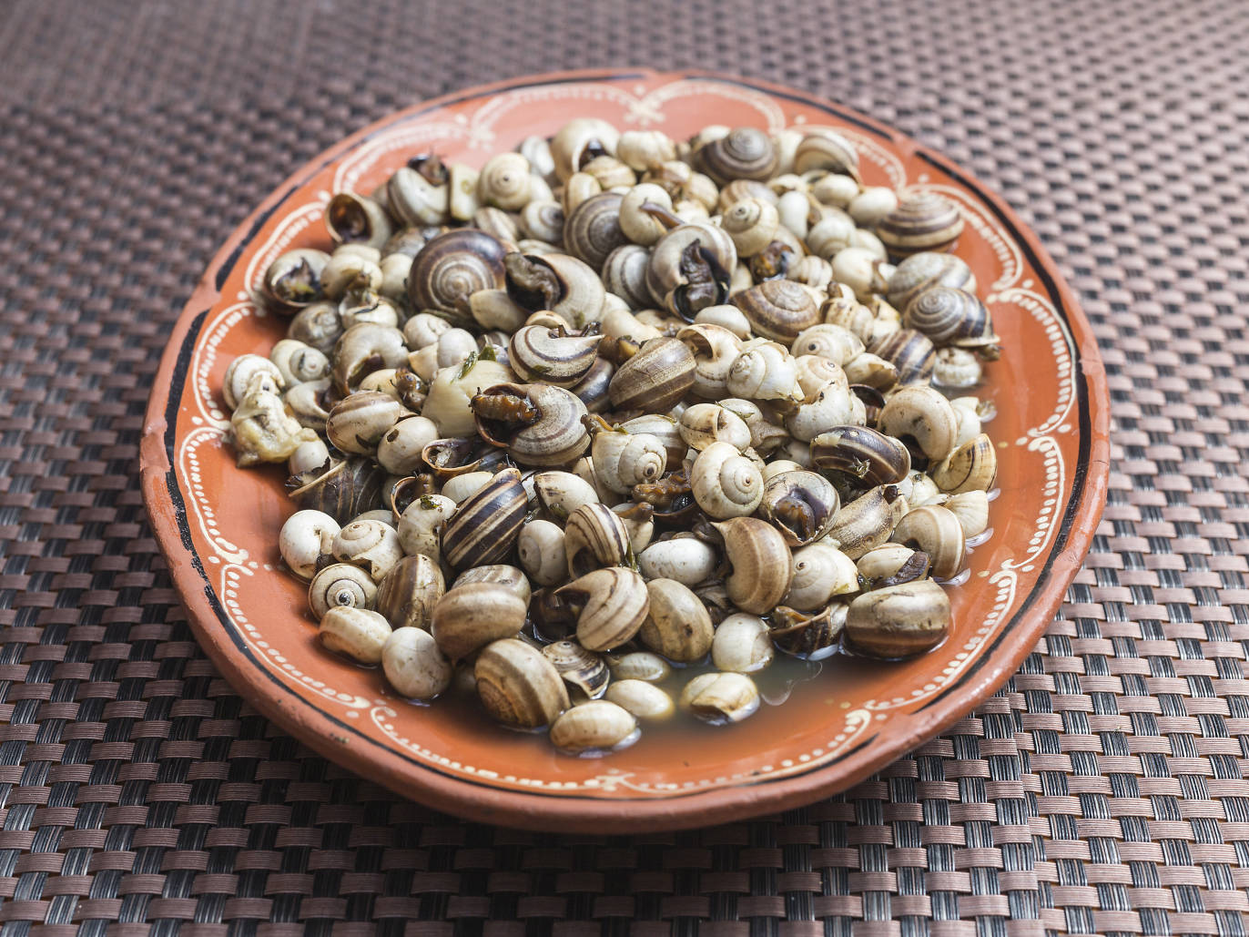 10 sítios para comer caracóis em Lisboa